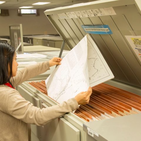 Library Poster & Map Storage at Frewsburg Secondary School - Ulrich ...