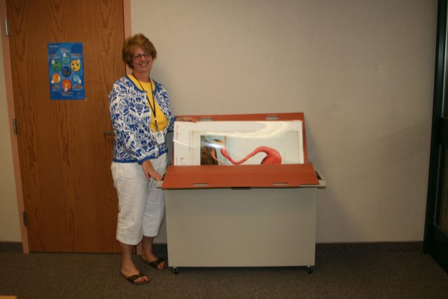 Library Poster & Map Storage at Frewsburg Secondary School - Ulrich ...